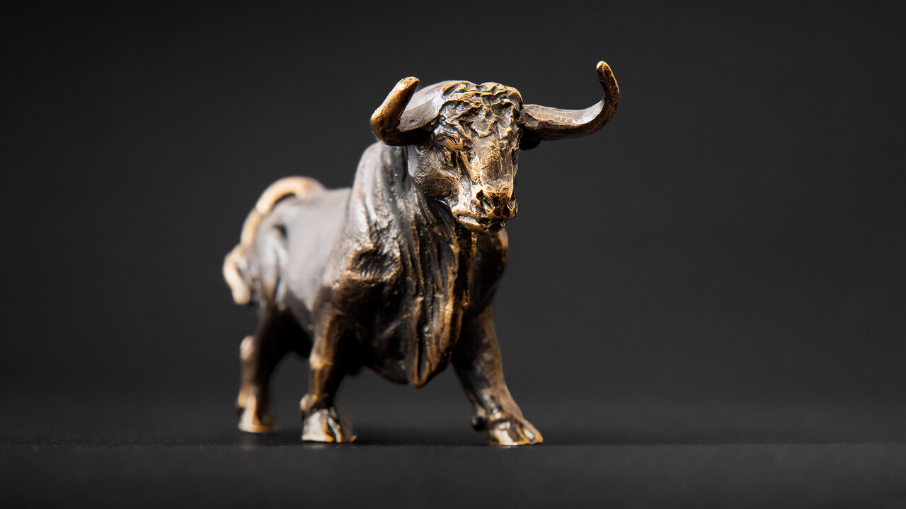 Nvidia vor Zahlen: Die Bullen sind bereit - DER AKTIONÄR